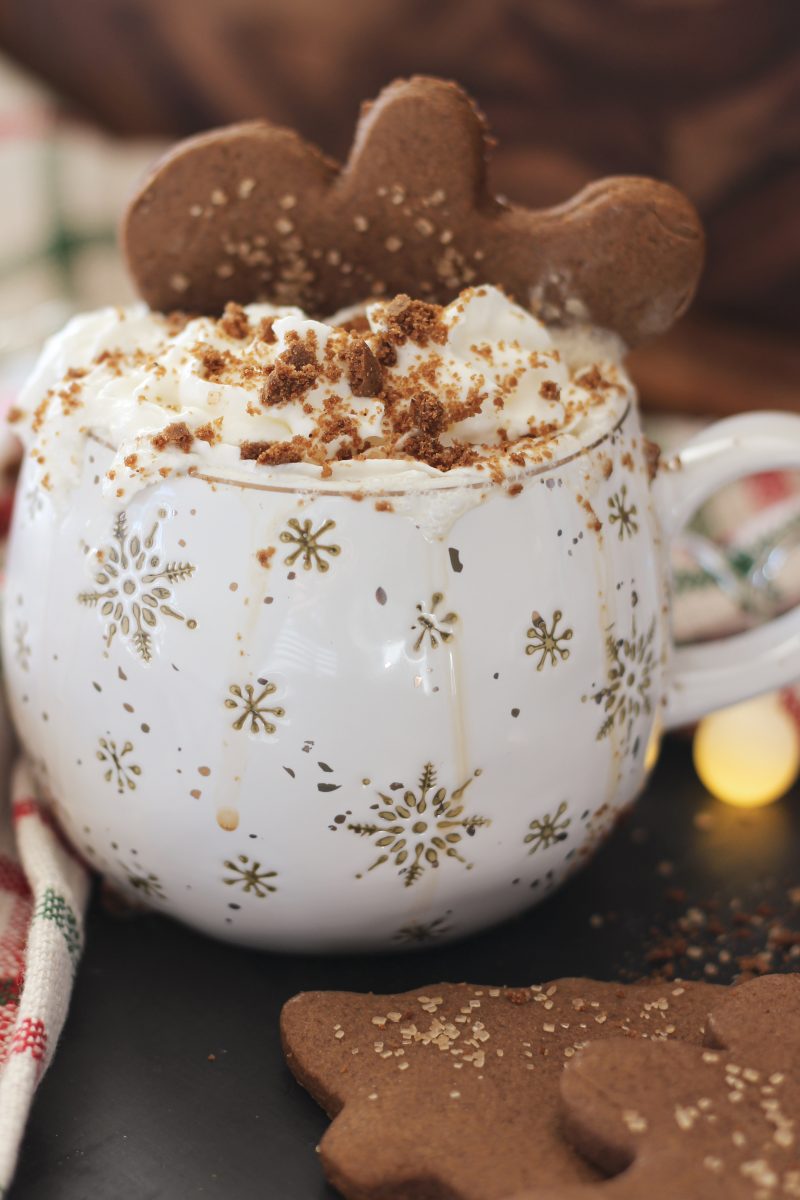 Spiced Gingerbread Latte - Mozie