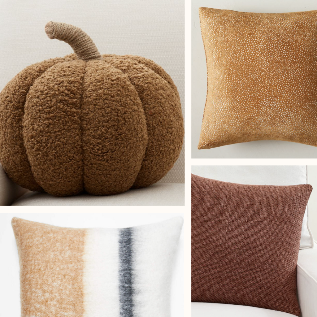 16 Festive and Cute Fall Throw Pillows You’ll Be Obsessed With - Mozie
