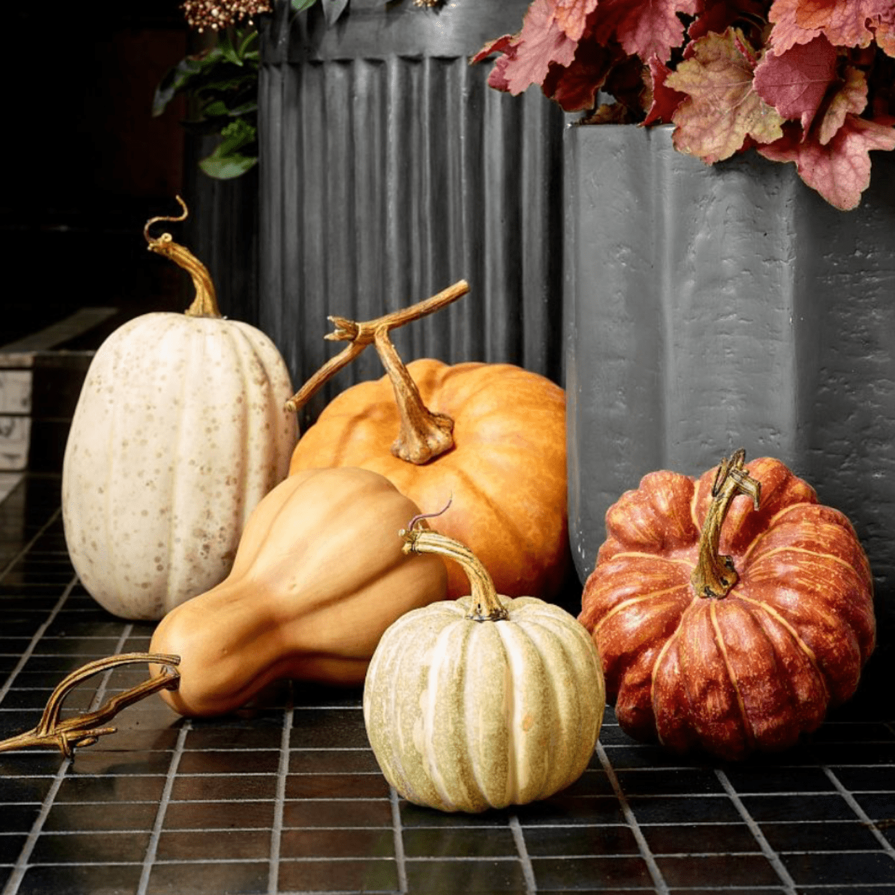 The Cozy New Pottery Barn Fall Decor We’re Dreaming About - Mozie