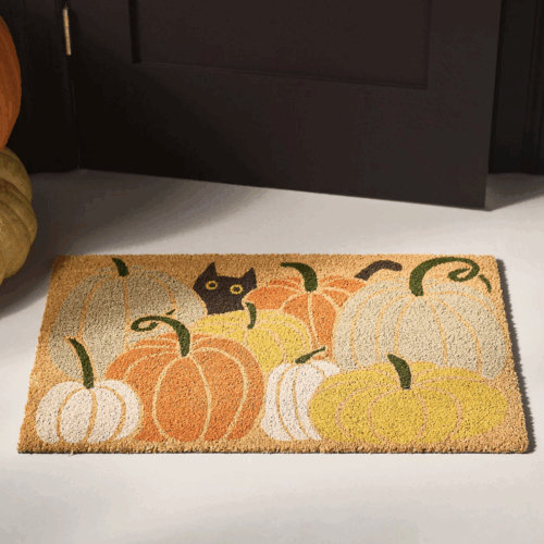 15 Cute Fall Doormats to Add a Cozy Touch to Your Doorstep - Mozie