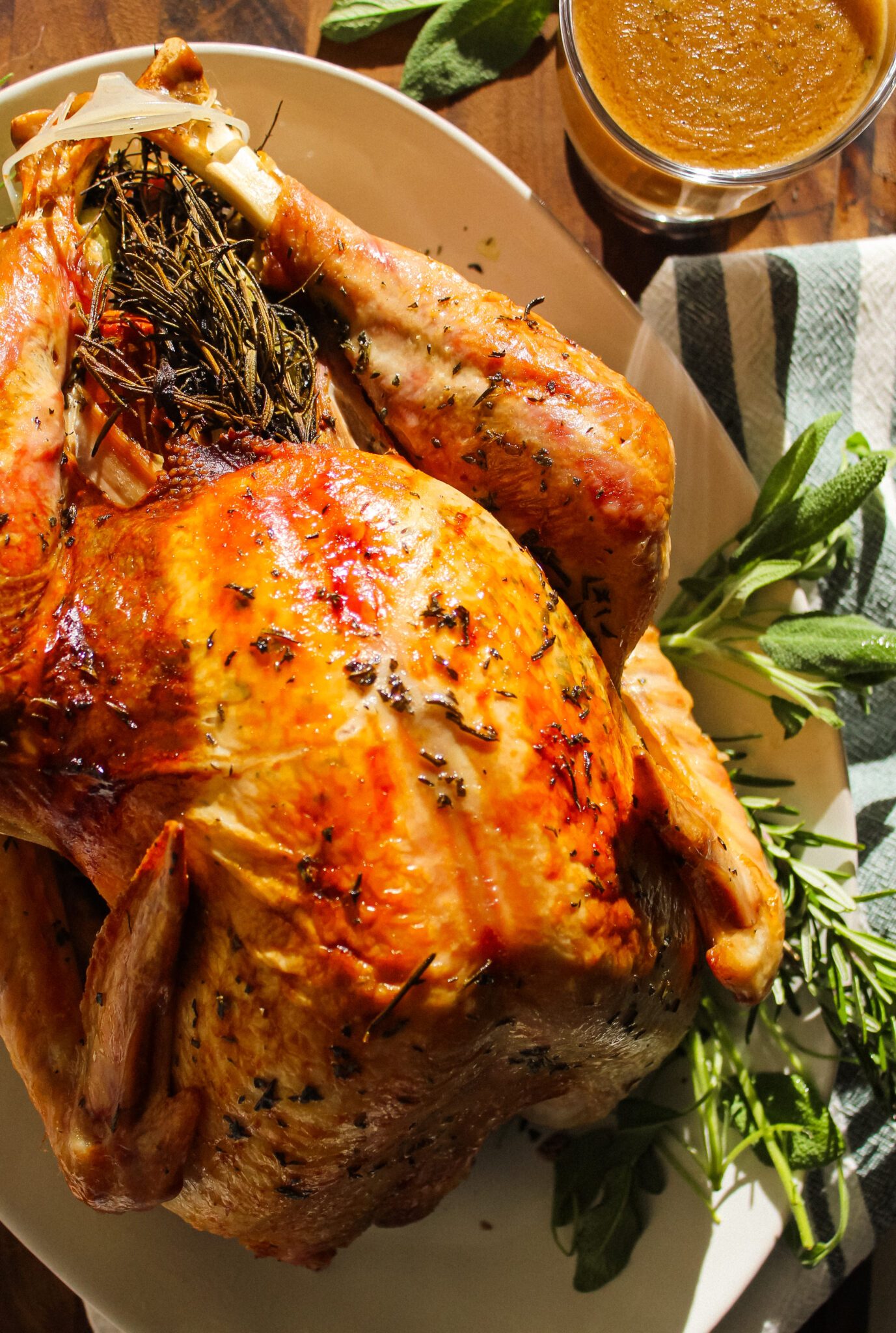 Thanksgiving Brown Bag Turkey - Mozie